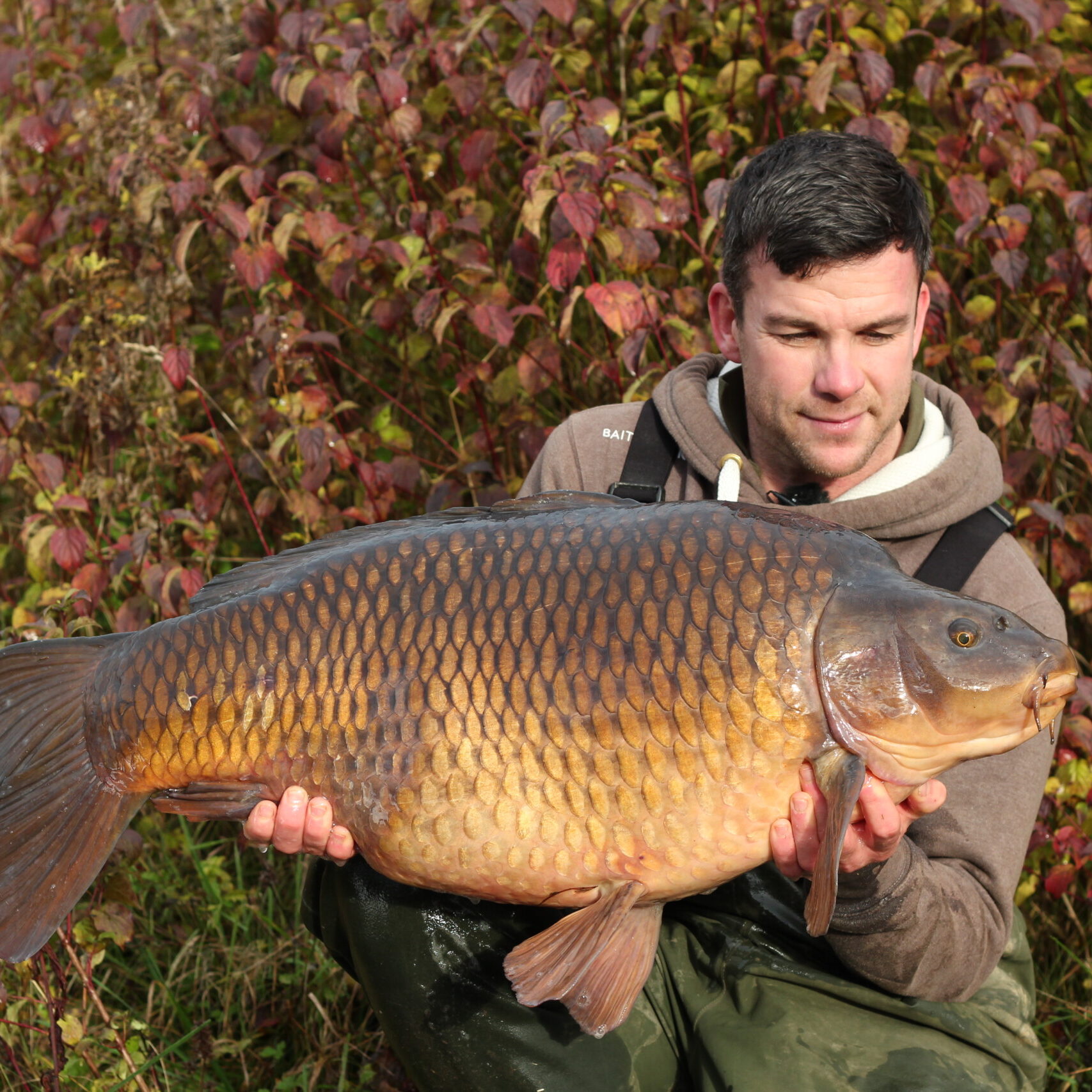 how to make carp dips